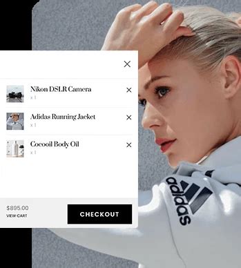 Ultra Fast Wordpress Themes • Themify
