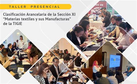 Webinar 240725 Clasificacion 3 Op1 Dest Canaintex