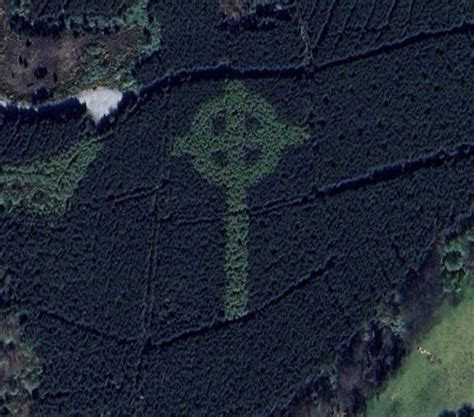 I Planted It Tree By Tree And No One Knew” A Man Created A Giant