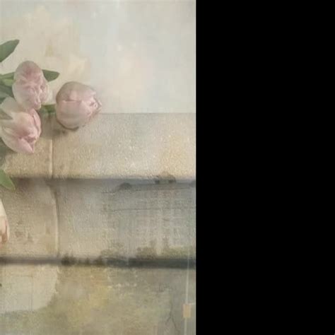 Bj감동란 야방에서 방송사고 네이버 블로그