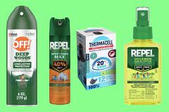 Best Mosquito Repellents Of 2026 Sprays Lotions And Wipes Test