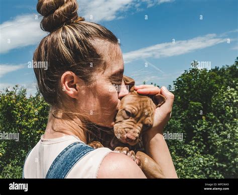 Pretty Puppy Chocolate Color Hi Res Stock Photography And Images Alamy