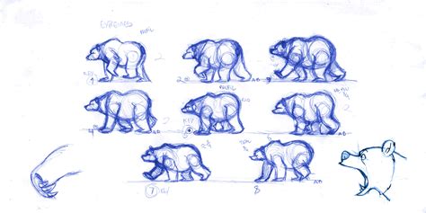 Bear Walking Cycle Animation