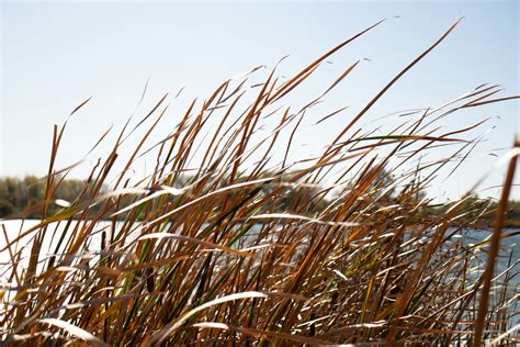 Allie Witte Awitte Komunitas Foto Unsplash