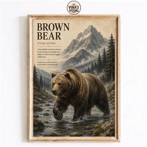 Brown Bear Wall Art Wildlife Field Guide Print Ursus Arctos Poster