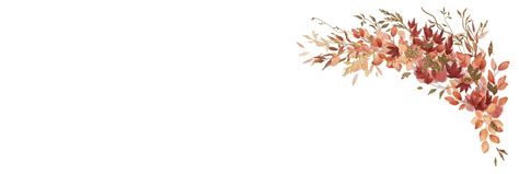 Soren And Rikka S Wedding Website The Knot