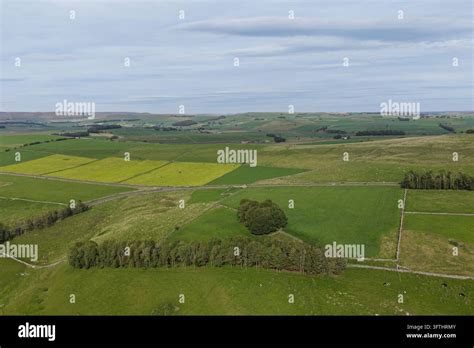 Aerial View Of Rolling Green Agricultural Fields Divided By Traditional