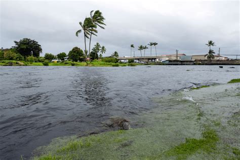 Hurricane Lala Tracker As Storm Sparks Power Outage In Hawaii