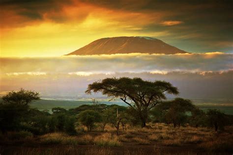 Tanzania Visa On Arrival Finally Suspended In 2025 Visasnews