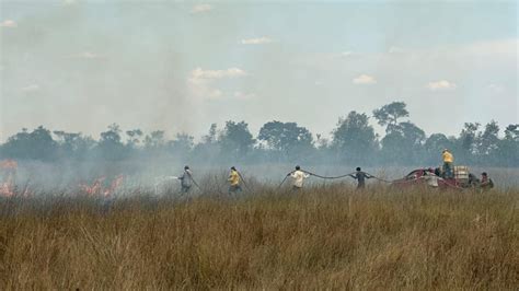 Coed Reporta 59 Incendios Activos En Santa Cruz Seis Municipios Son