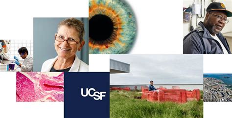 Ucsf Launches First Public Archive Of Firearm Industry Records Uc San