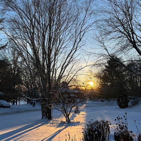 Janet Bell Happy Thanksgiving 🍁☀️🍂 Facebook