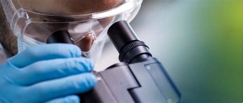 Search Our Job Opportunities At Quest Diagnostics