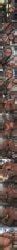 Rule 34 Milf Sortscore 3d