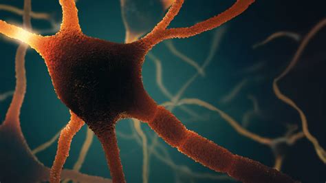 Frontiers A Model To Address Healthcare Gaps And Poor Research