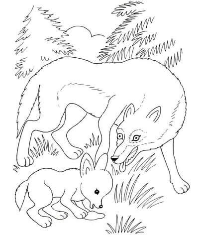 Wolf 200 Free Printable Coloring Pages