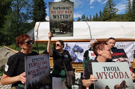 Protest Na Drodze Do Morskiego Oka „nie Jest Wam Wstyd”
