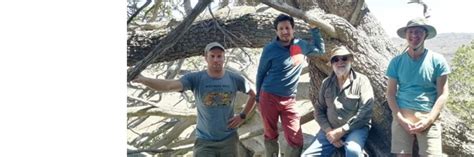 Prof Jonathan Barichivich Collaborating With Dfws To Understand Plight