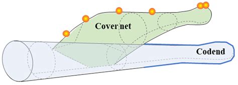 Evaluation Of A Modified Codend Configuration For A Marine Mammal