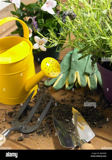 Watering Can Next Plants Hi Res Stock Photography And Images Alamy