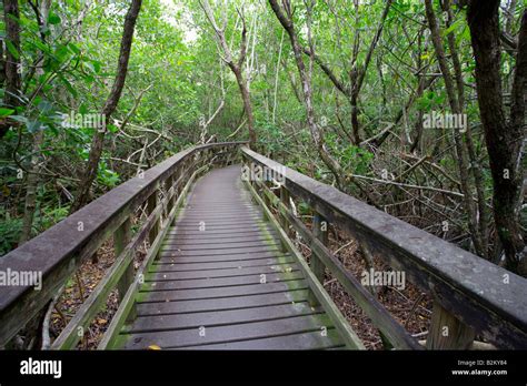 Usa Florida Everglades National Hi Res Stock Photography And Images Alamy