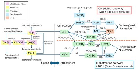 Acp Drivers Of Atmospheric Volatile Methylated Sulfur Variability