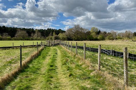 Green Light For 76 Metre Bridge To Carry Kenilworth Footpath Over New