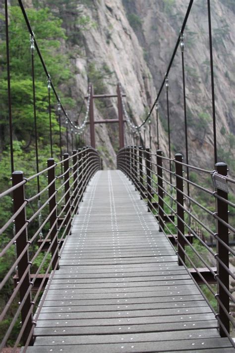 감기 Vs 독감 Vs 코로나 헷갈리면 이 글 하나 증상·검사·치료·접종·보험 총정리