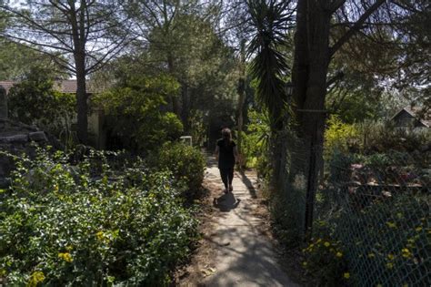 Israeli Settlement Trump Heights Sees Opportunity In Election Ap News