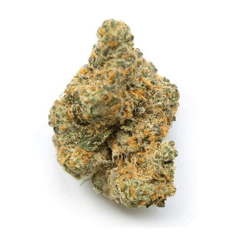 Jesus OG Jane