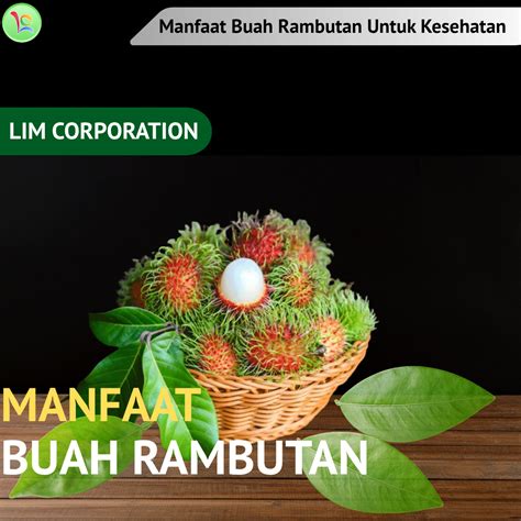 Buah Musiman Dengan Segudang Khasiat Keajaiban Rambutan Yang Jarang Terungkap Lc Plastik