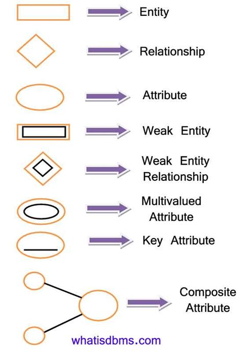 Understanding Er Diagram Symbols Illustrated Examples