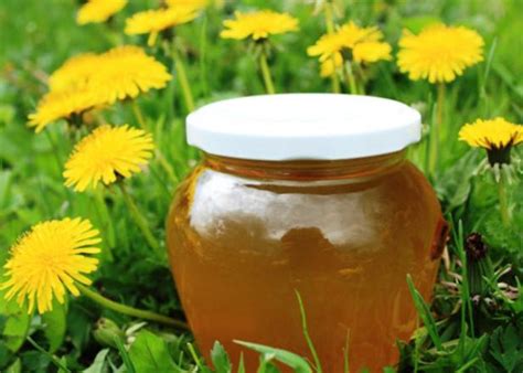 ბაბუაწვერას ჯემი გემრიელი და სასარგებლო საშუალება ყვითელი ყვავილების ფასდაუდებელი სიროფი