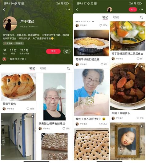 小红书十年：从小众需求到大众生活 36氪