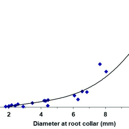 Relationship Between Root Diameter RD Measured Cm Below The Root Download Scientific