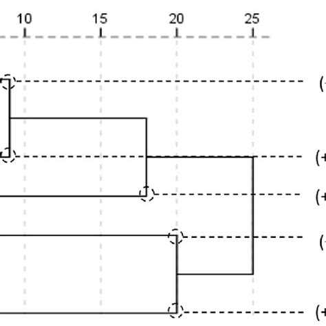Dendrogram Obtained By Hierarchical Cluster Analysis Based On The