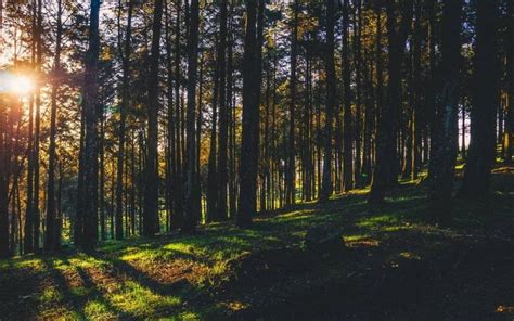 Top 10 Must Visit Tourist Places In Kiambu Tourist Places Guide