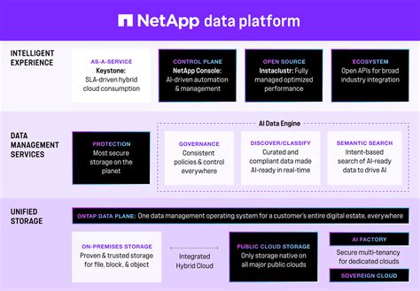 Enterprise Data Storage Leader Netapp