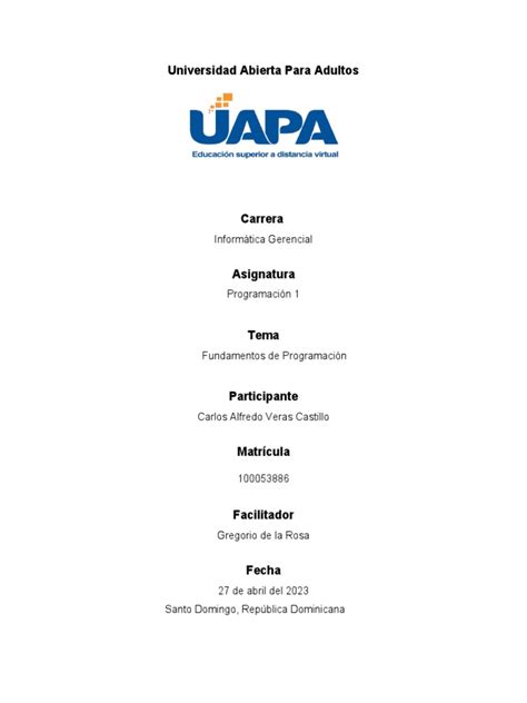 fundamentos de programación pdf