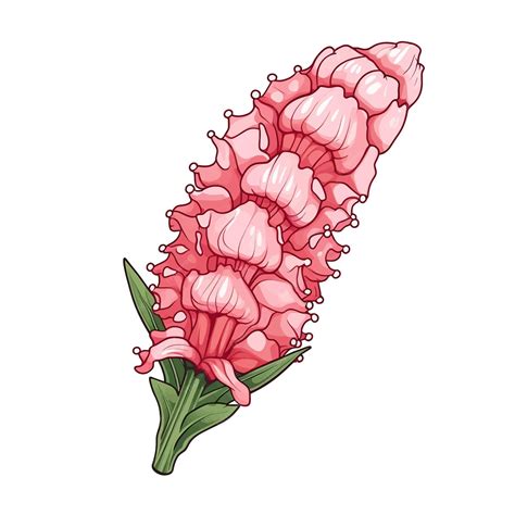 Premium Vector Cockscomb Flower Vector Clipart White Background