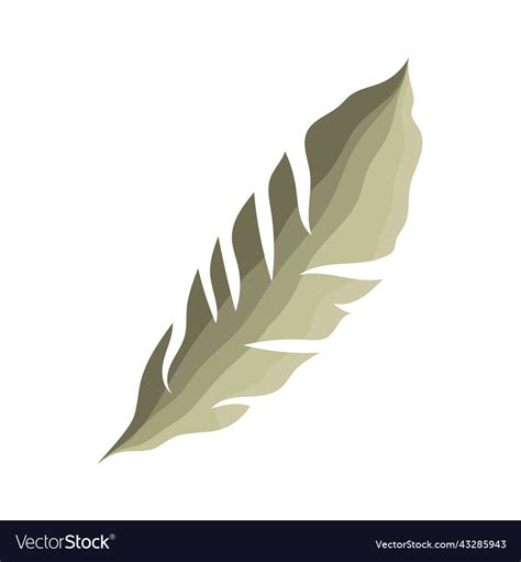 Tropical Leaf Palm Royalty Free Vector Image Vectorstock