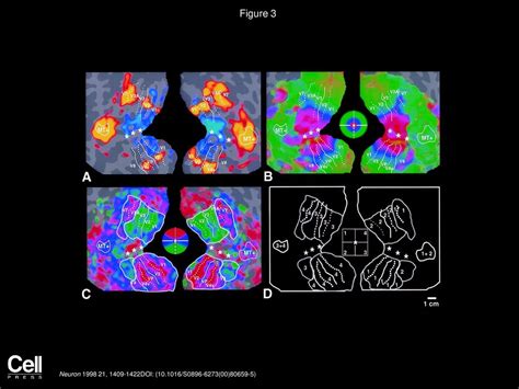The Retinotopy Of Visual Spatial Attention Ppt Download