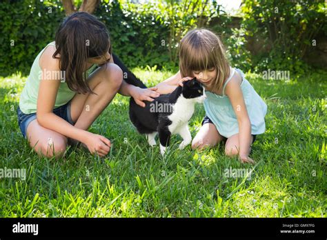 Deux Filles De Caresser La Chatte Sur Un Pré Photo Stock Alamy