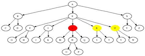 Xml Path Language