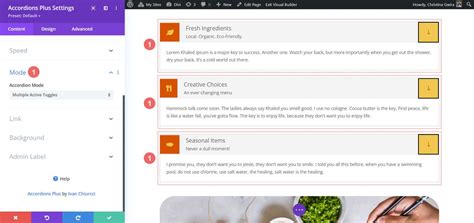 divi plugin highlight divi accordions plus