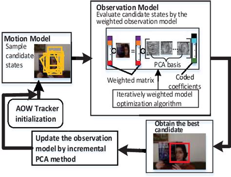 Figure 1 From Visual Tracking Via Adaptive Observation Weight Semantic Scholar