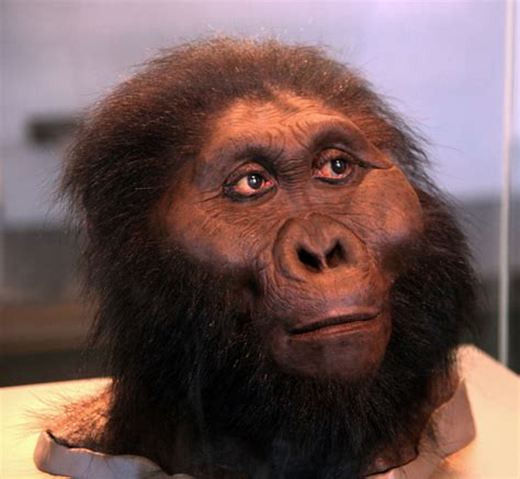 First Humans On Earth Lucy
