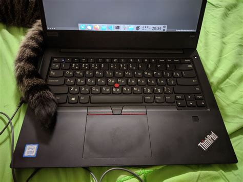 An Unexpected Tail Has Occured R ThinkCat