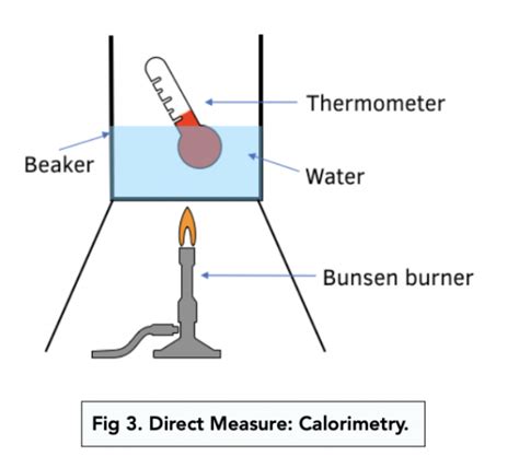 Measuring Biomass A Level Biology Study Mind