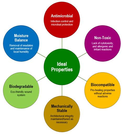 requirements for the formulation of a scaffolding system for